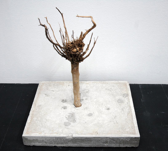 #1 | Galerie Rompone